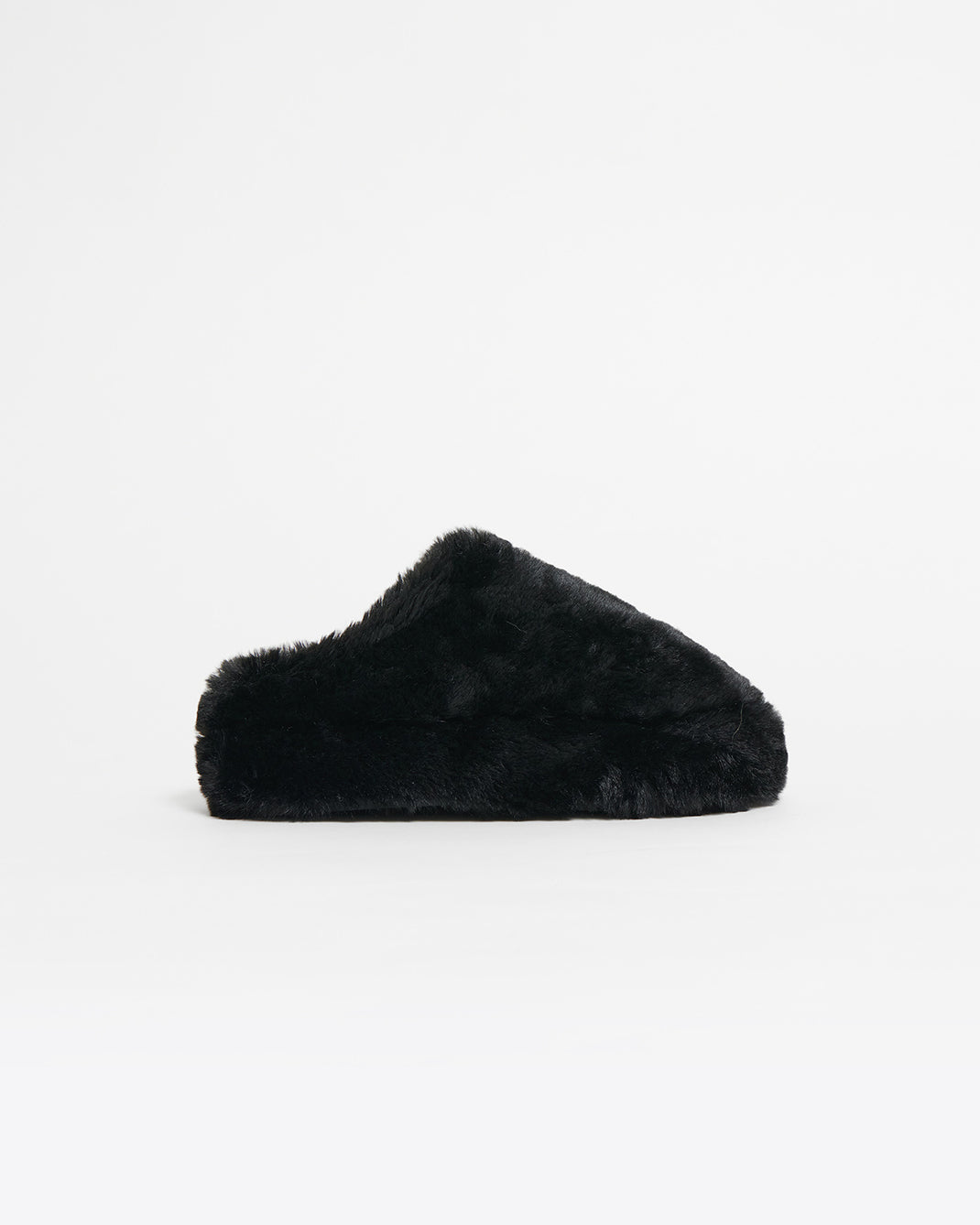 Apparis Misha Mule